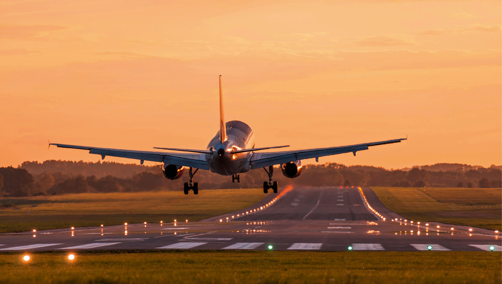 Das Zeug zum Fliegen?